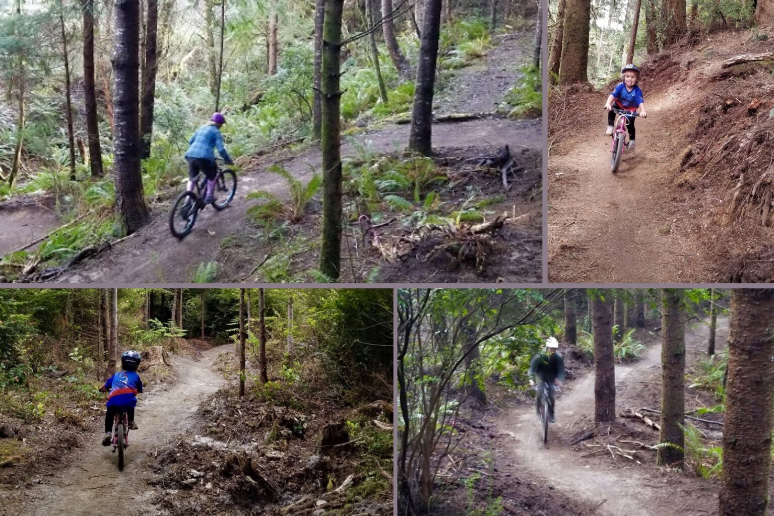 Ride new coastal forest singletrack at the inaugural Whiskey Run MTB ...