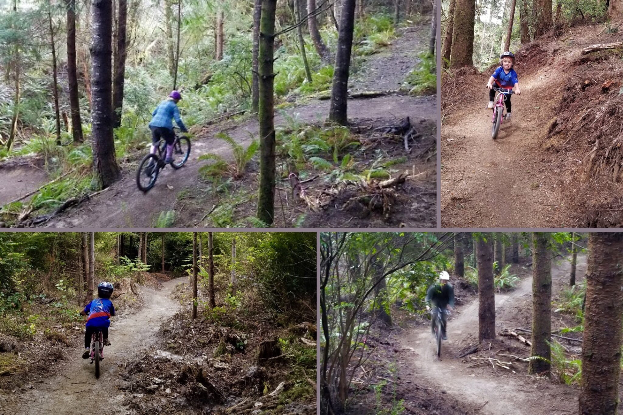 Ride new coastal forest singletrack at the inaugural Whiskey Run MTB ...
