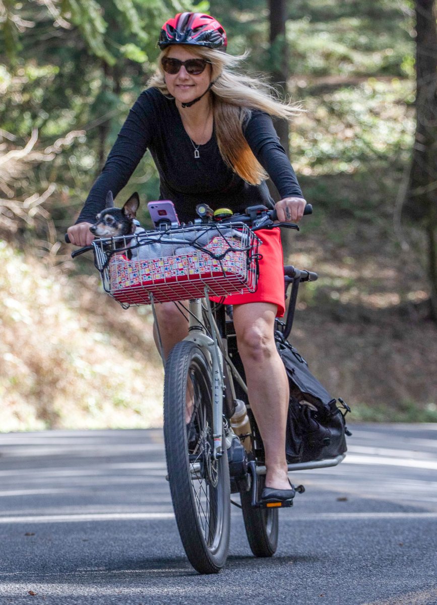 Review: Surly’s ‘Big Easy’ smooths out family biking and cargo-hauling ...