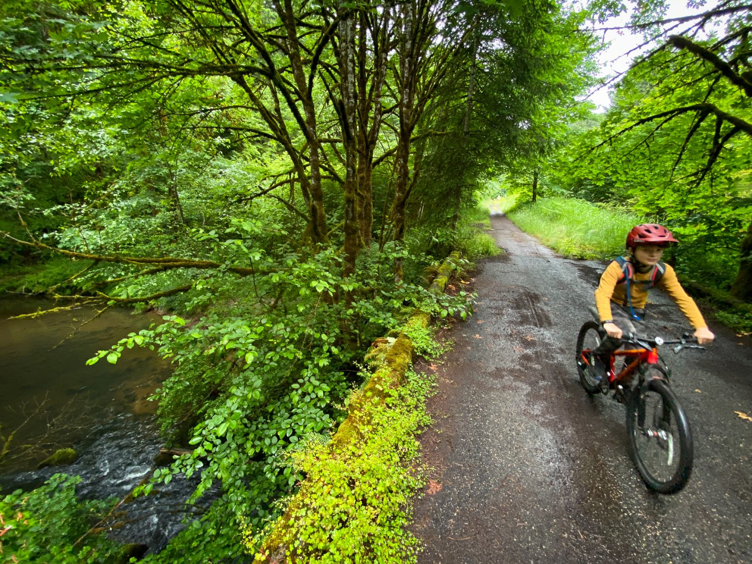 The Crown Zellerbach Trail is better than ever, especially for families ...