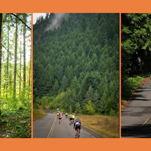 ‘Tour of Aufderheide’ shows Oakridge area not just for mountain biking ...