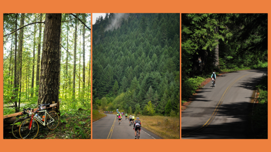 Aufderheide Drive finally gets its due as one of the best bike routes ...