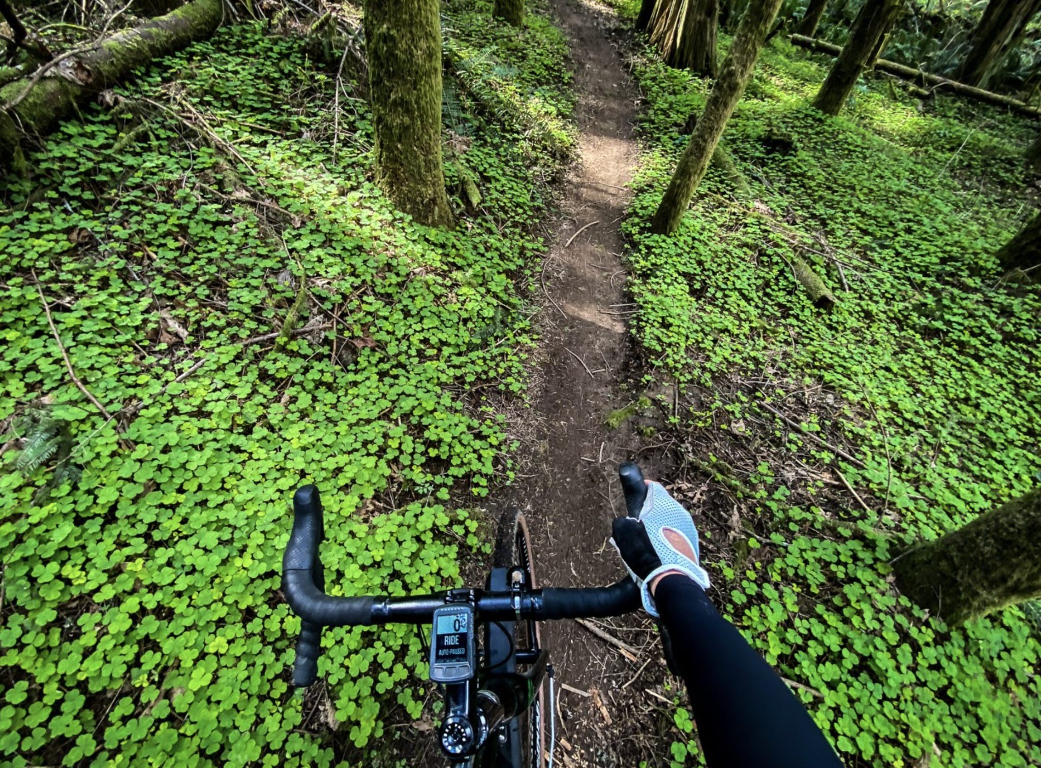 OSU is new owner of Rocky Point Trails and promises to maintain public ...