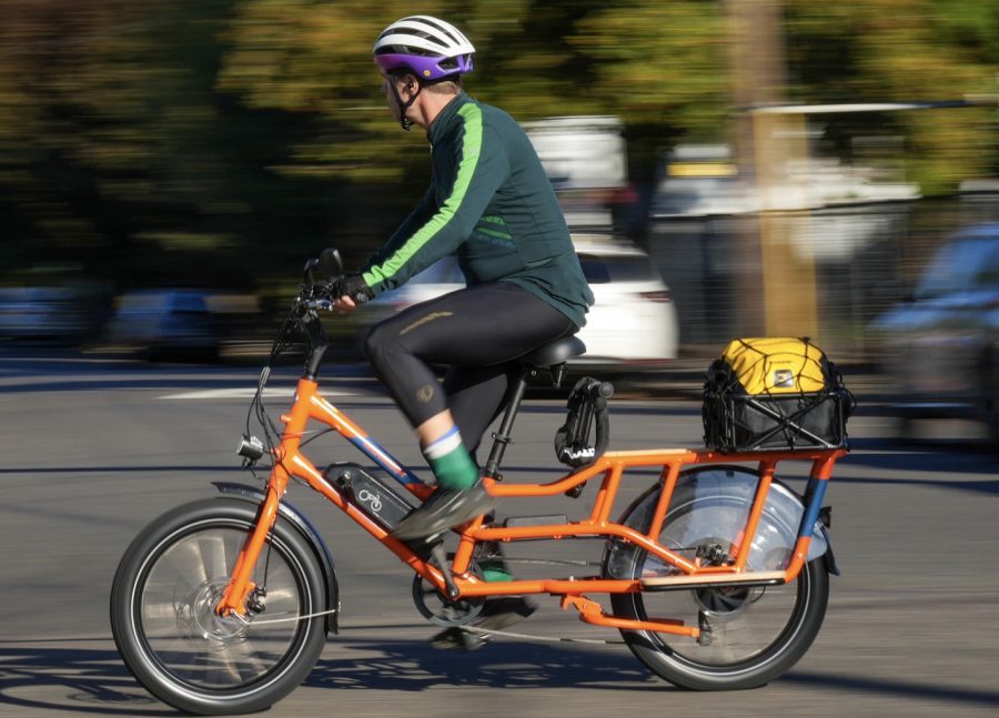 CPSC issues fire warning for Rad Power Bikes batteries – BikePortland